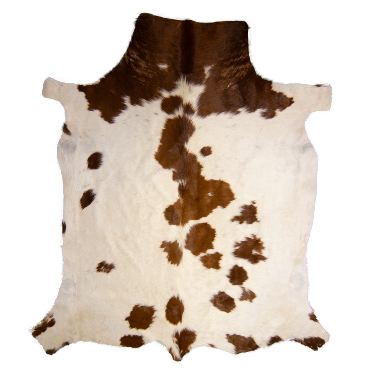 Home Of Nguni – Nguni Products