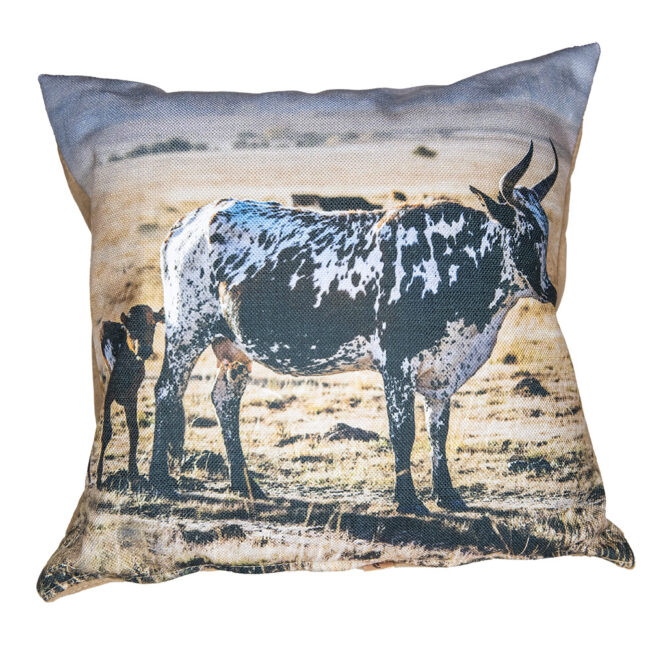 Nguni Printed Cushions – Home Of Nguni